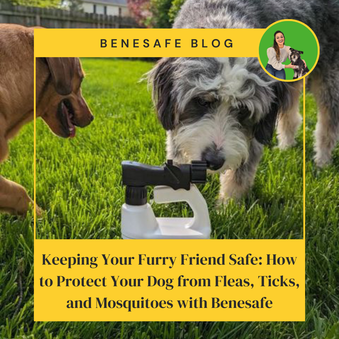 Keeping Your Furry Friend Safe: How to Protect Your Dog from Fleas, Ti ...