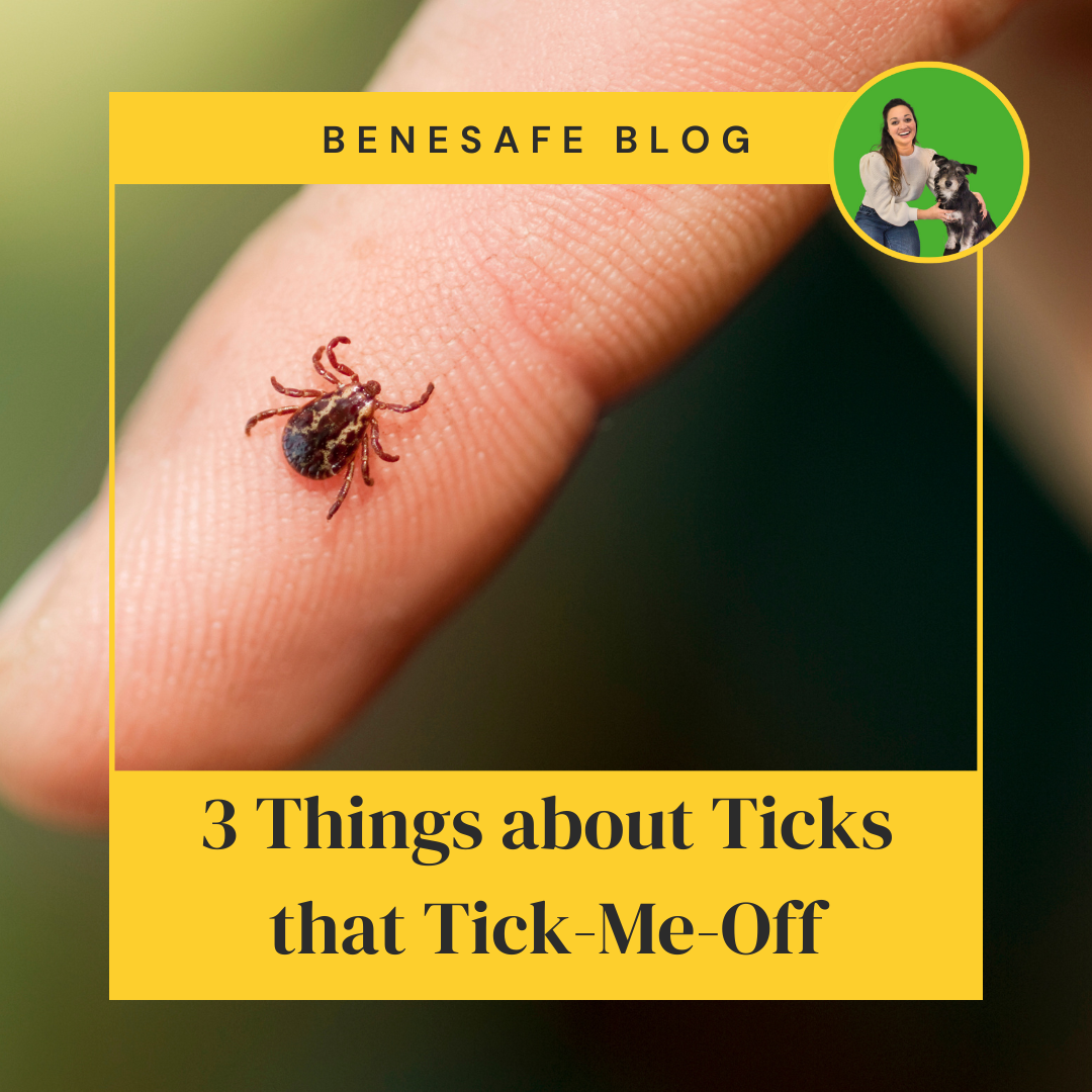 3 Things about Ticks that Tick-Me-Off – Benesafe Solutions